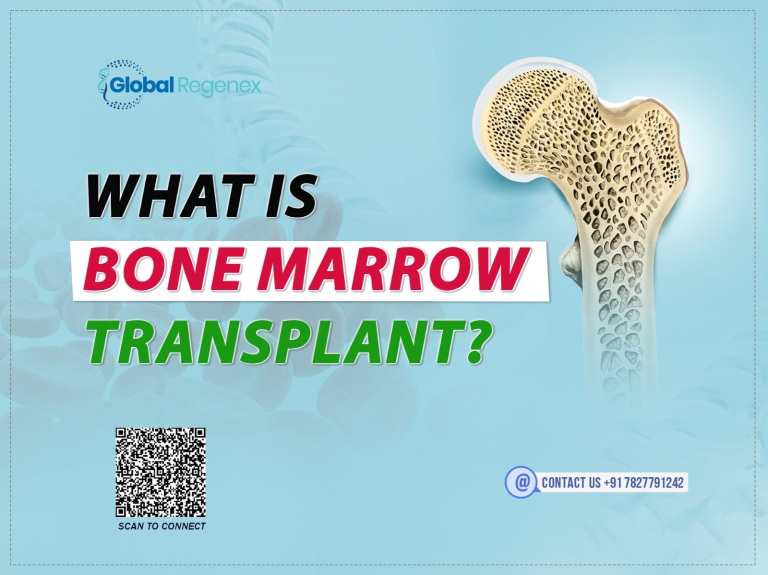 What is Bone Marrow Transplant?
