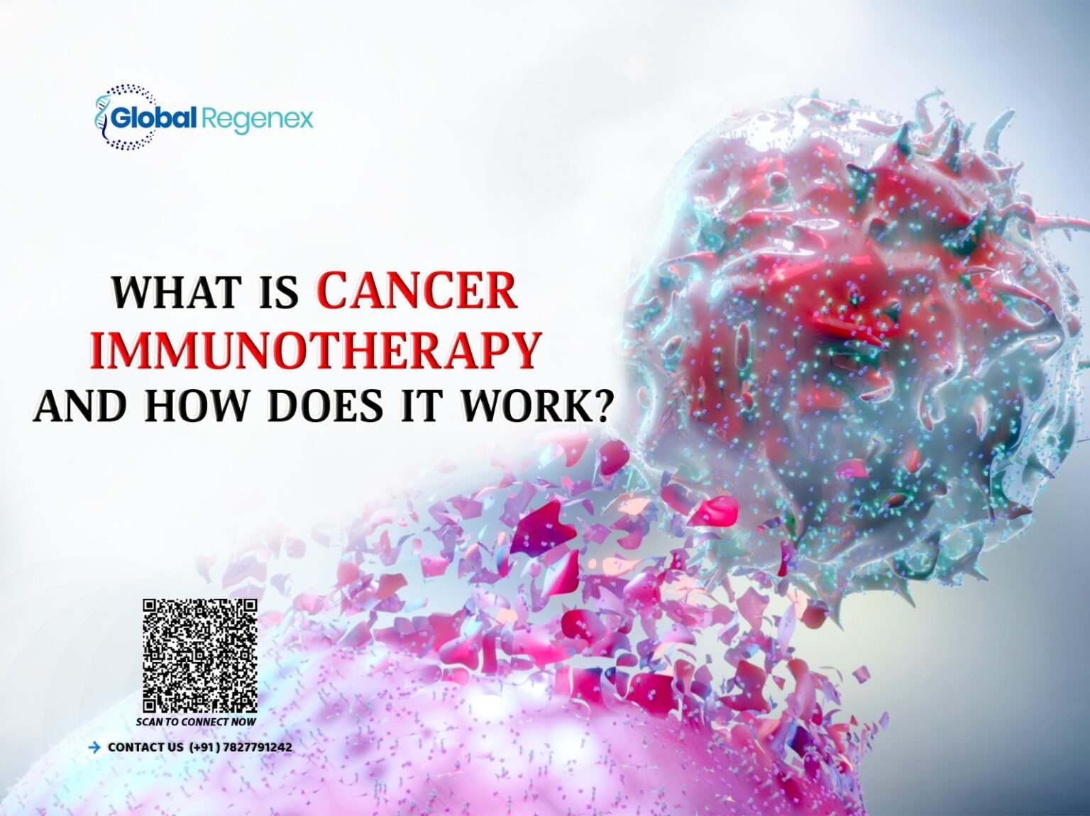 What Is Cancer Immunotherapy and How Does It Work?